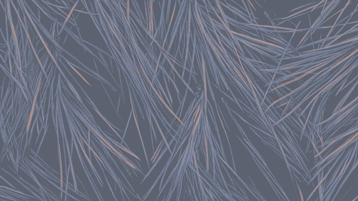 LongLeaf Studios | Team